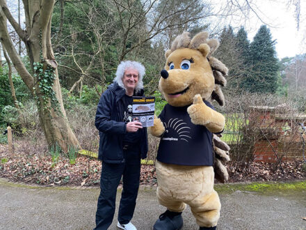 Brian May's Amazing Grace Campaign to save Britain's hedgehogs ...